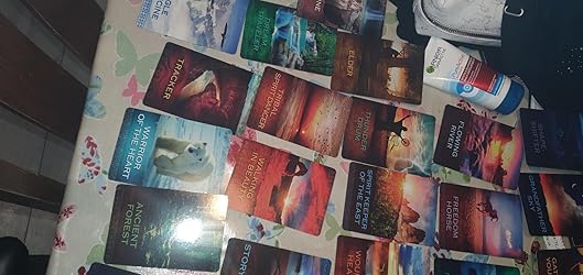 Native Spirit Oracle Cards: A 44-Card Deck and Guidebook: Amazon.co.uk ...