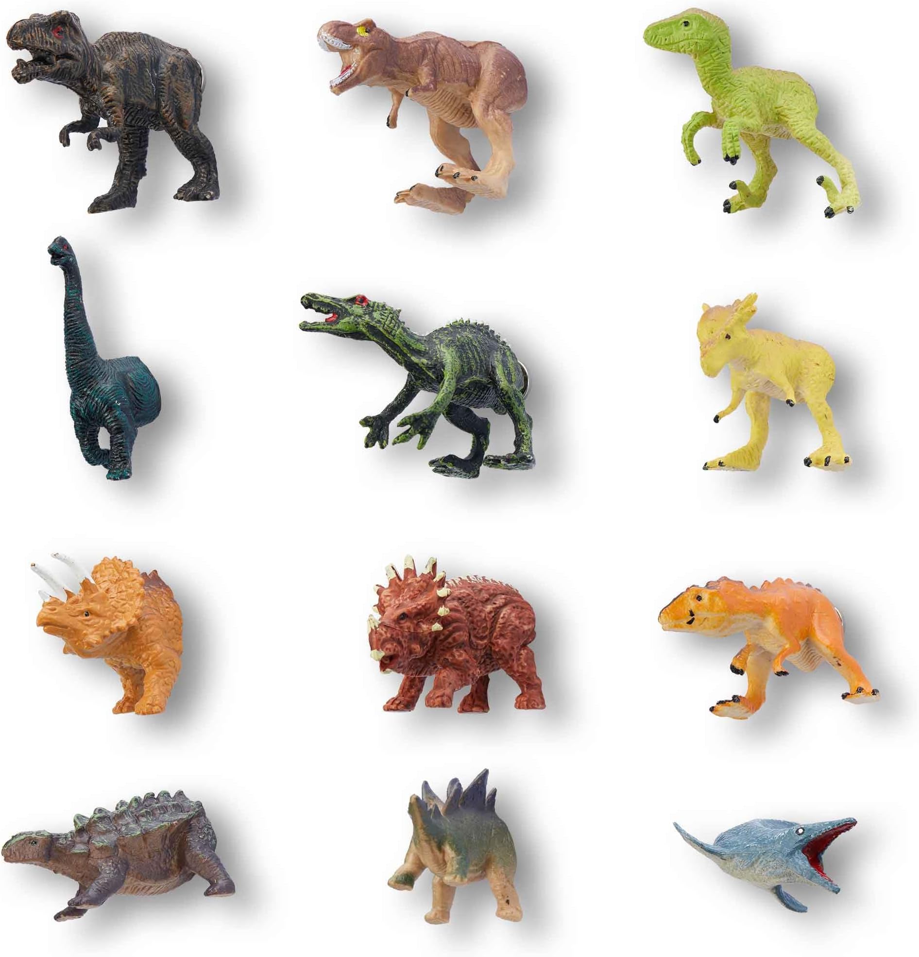 Amazon.com: 12 Dinosaur Magnets - Bring The Jurassic to Your Fridge ...