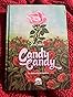Candy Candy La Historia Definitiva : Keiko, Nagita: Amazon.com.mx: Libros