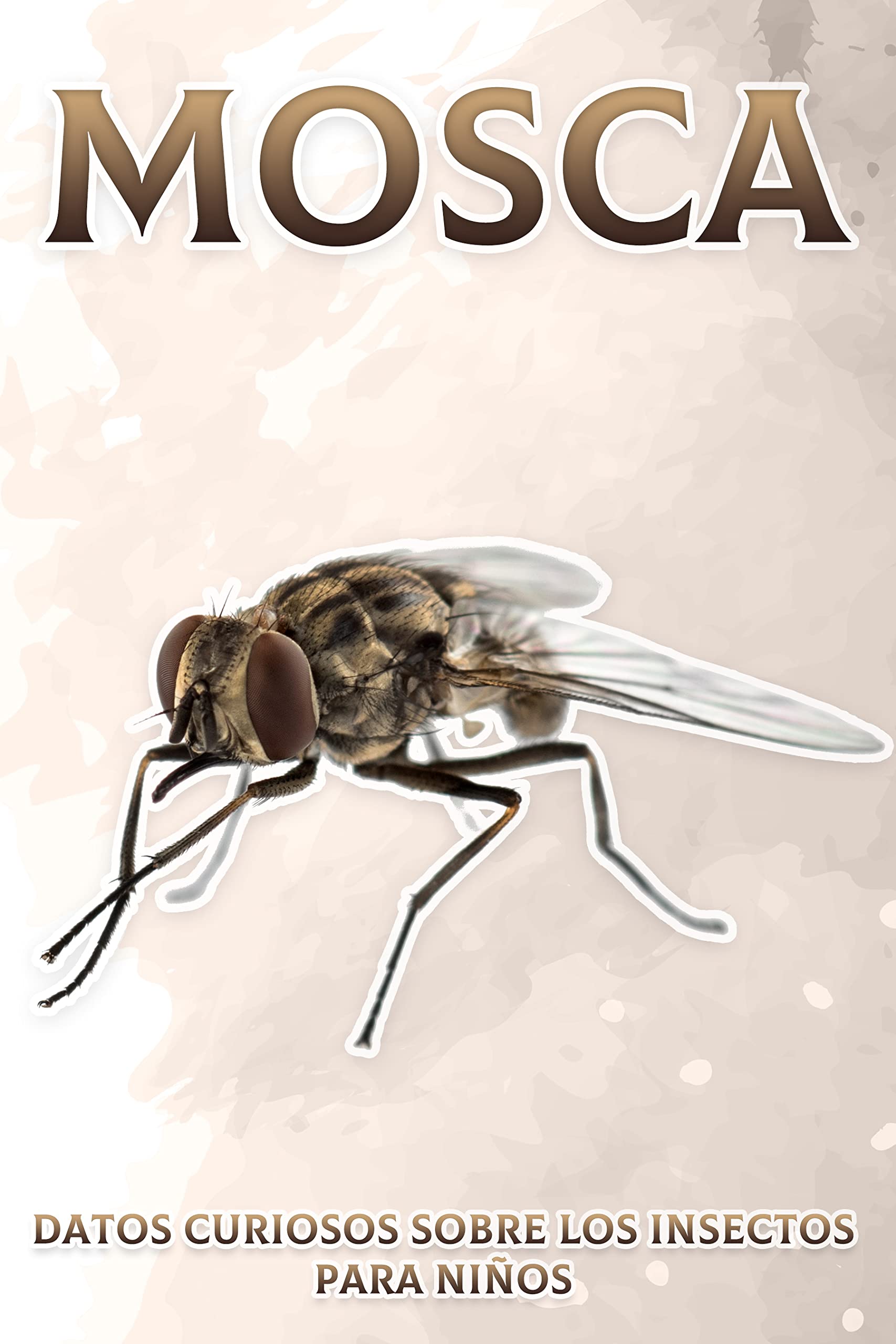 Mosca Datos Curiosos Sobre Los Insectos Para Ninos 14 Spanish ...