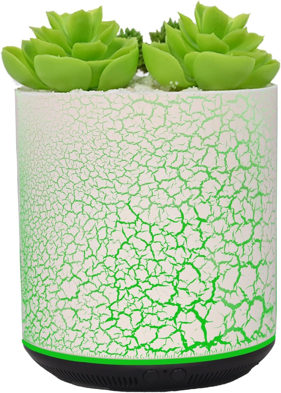 Amazon.com: Romexa Smart WiFi Essential Oil Aromatherapy Diffuser ...