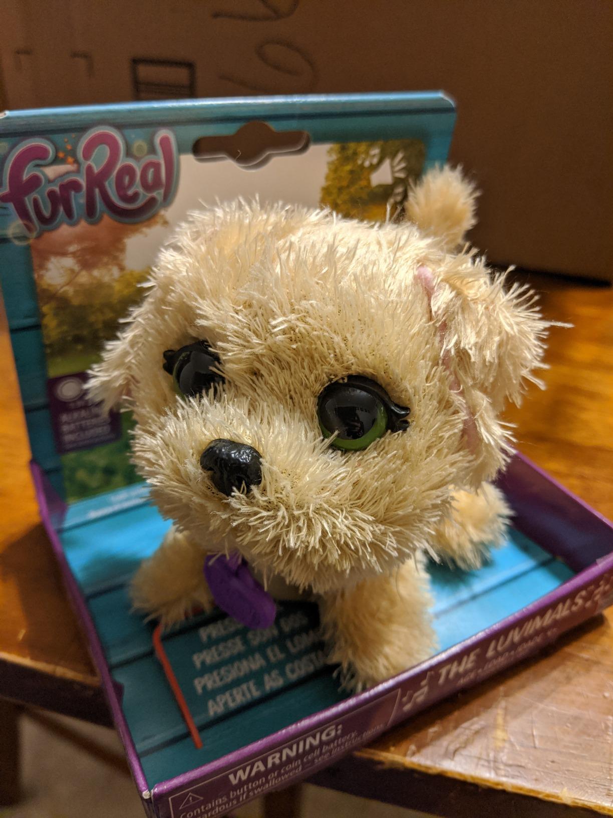 FurReal Friends C2288AS00 The Luvimals Sweet Singing Biscuit ...