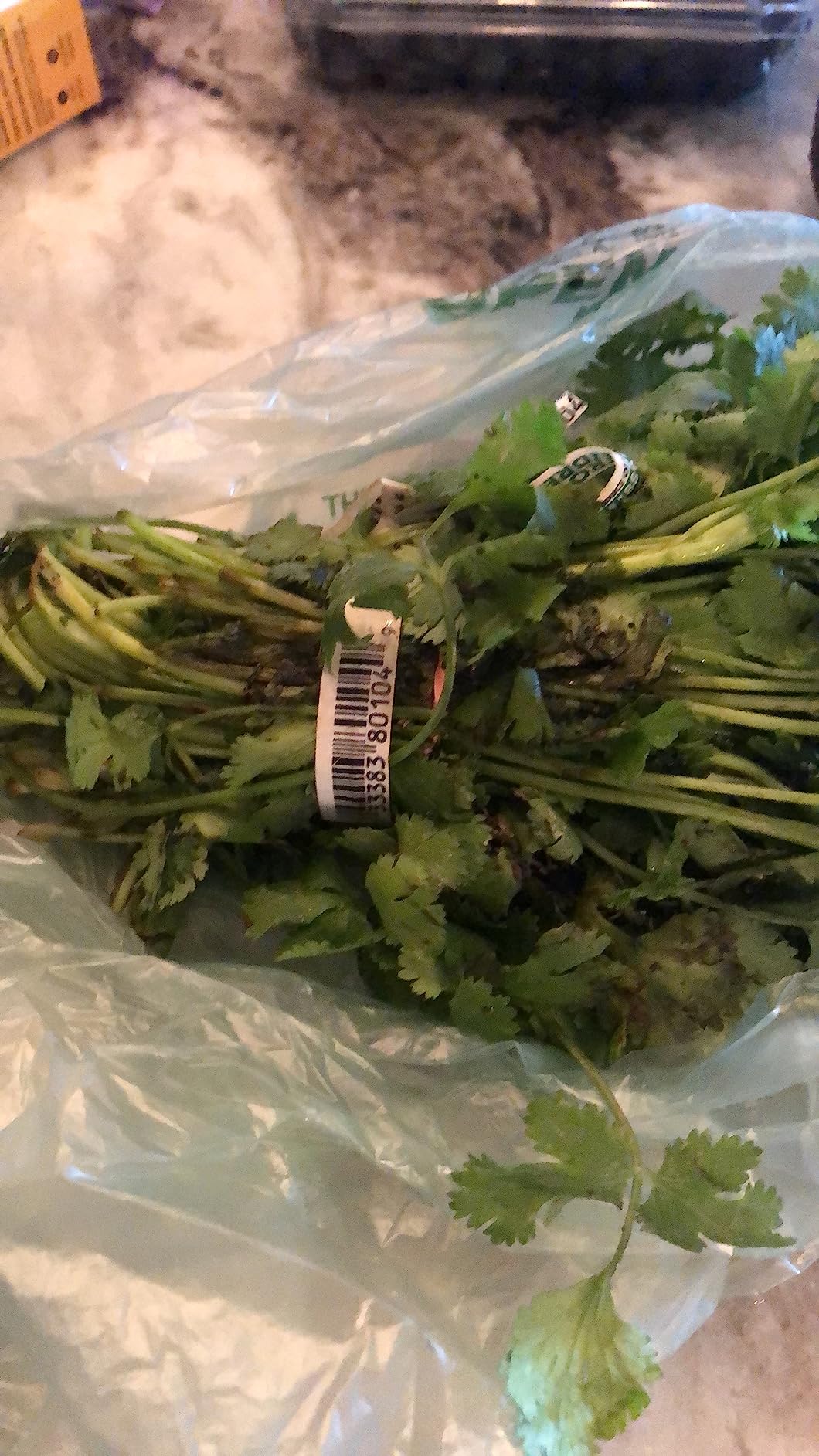 Amazon.com: Herb Cilantro Conventional, 1 Bunch : Grocery & Gourmet Food
