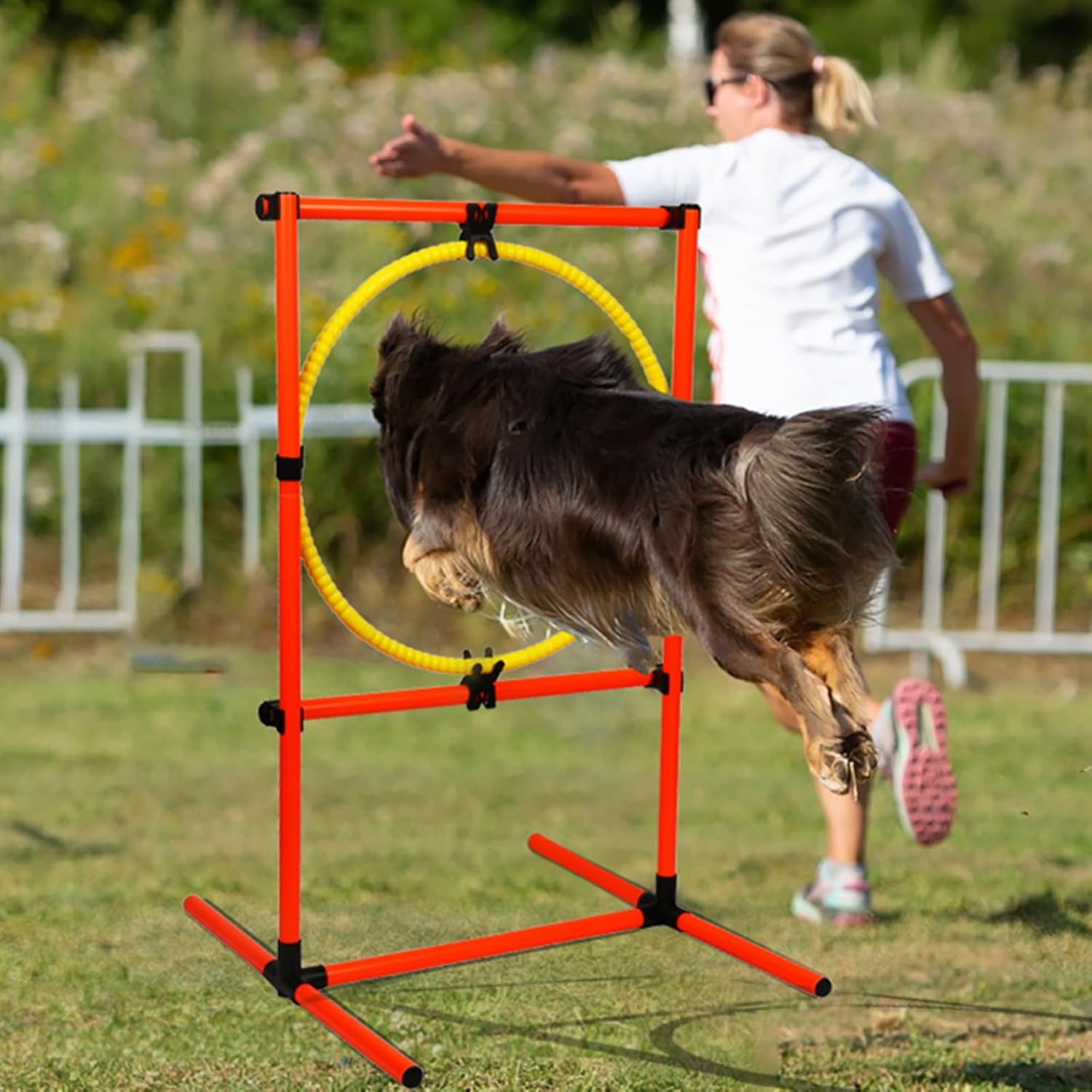 Amazon.com : Kvittra Dog Agility Training Course Equipment, Jump ...