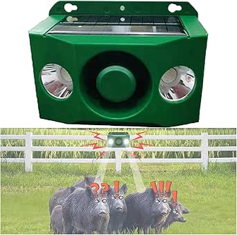 Amazon.com: Flashing Motion Sensor Light : Industrial & Scientific