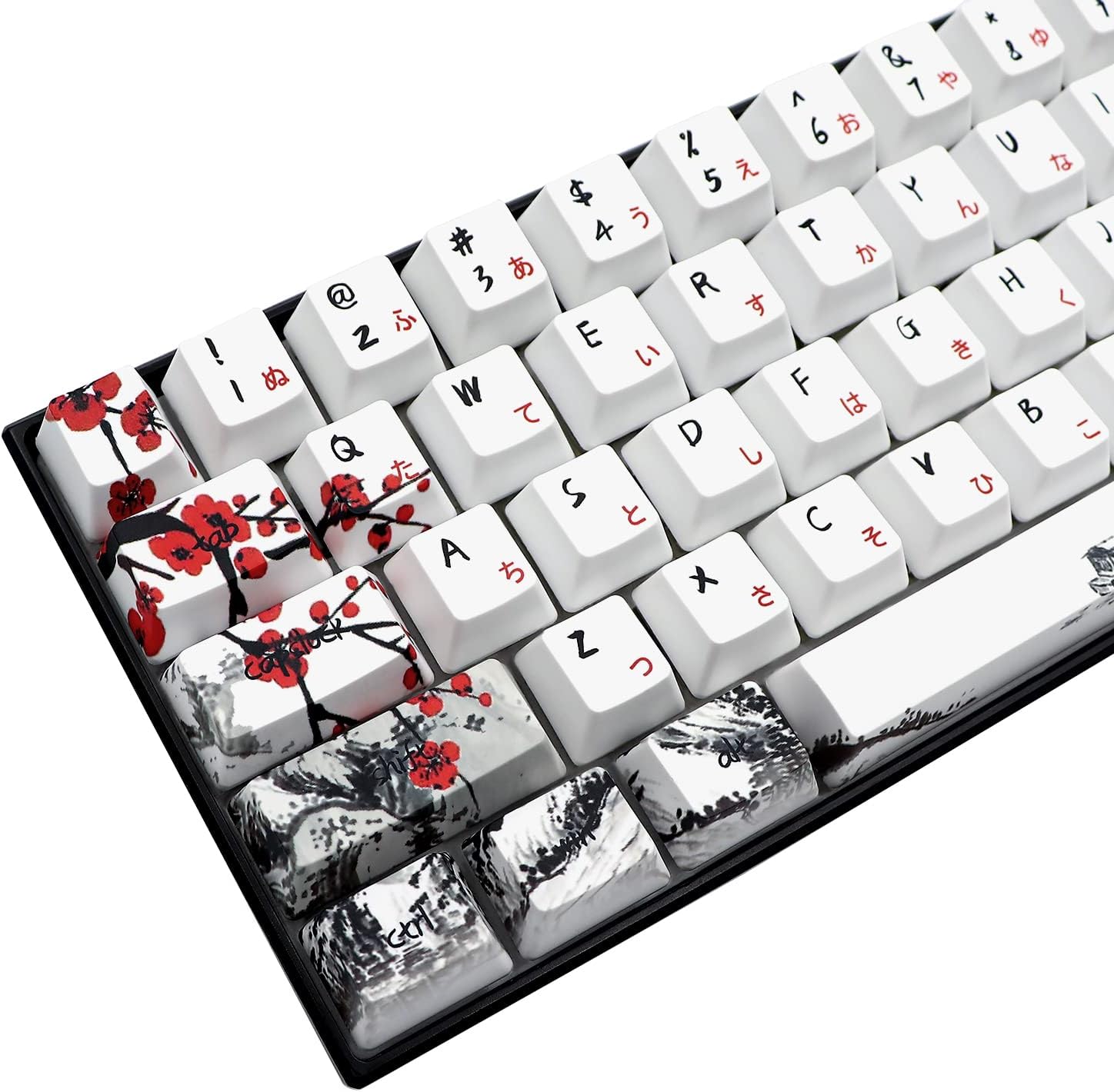 Amazon.com: MOLGRIA Keycaps 71 Set for Gaming Mechanical Keyboard ...