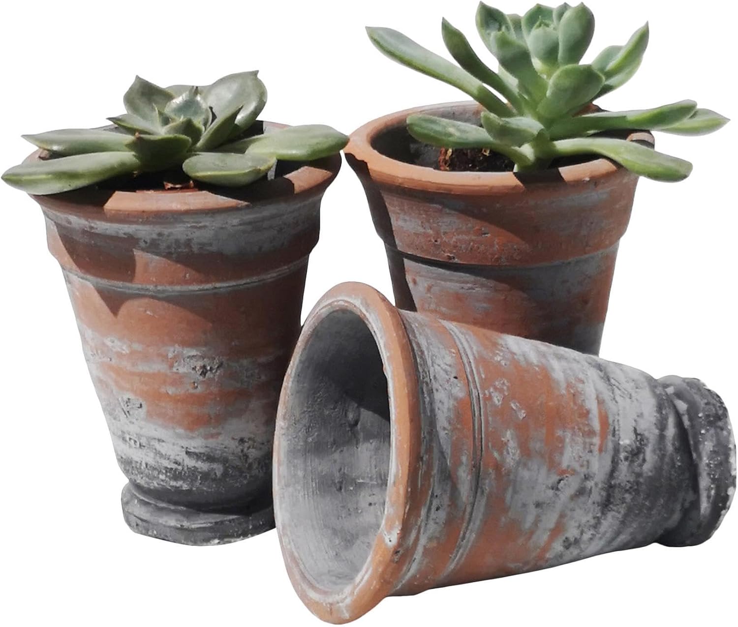 Vintage Large Rustic Cactus Plant Pot Planter - Aged Grey Stone ...