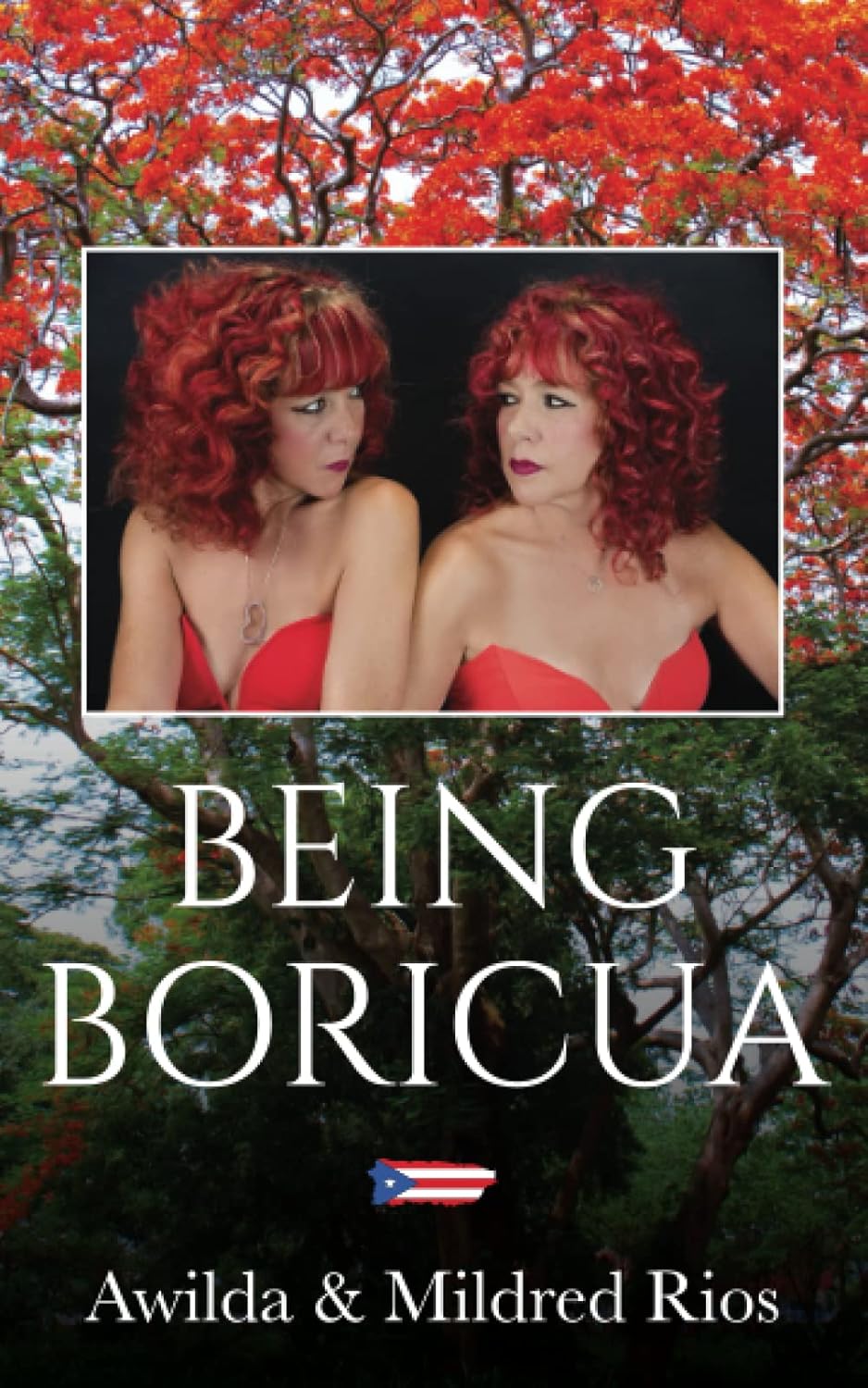 Amazon.com: Being Boricua: 9798842045778: Rios, Awilda and Mildred Rios: Books