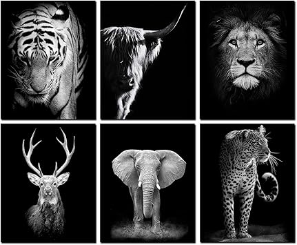 Amazon.com: Black and White Animals Wall Art Prints Set of 6 Animal ...