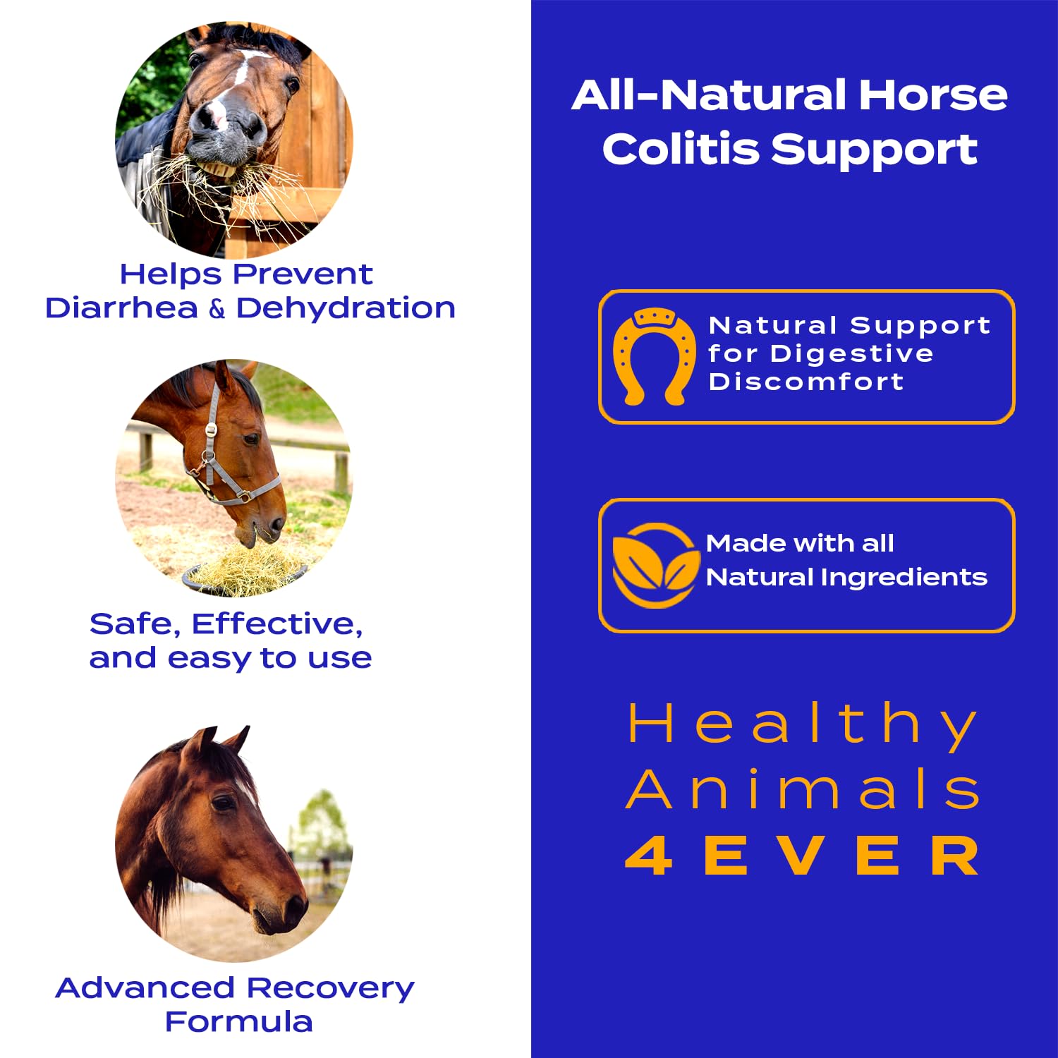 Daily Gold Horse Supplement Histall For Horses Animals 4Ever All ...