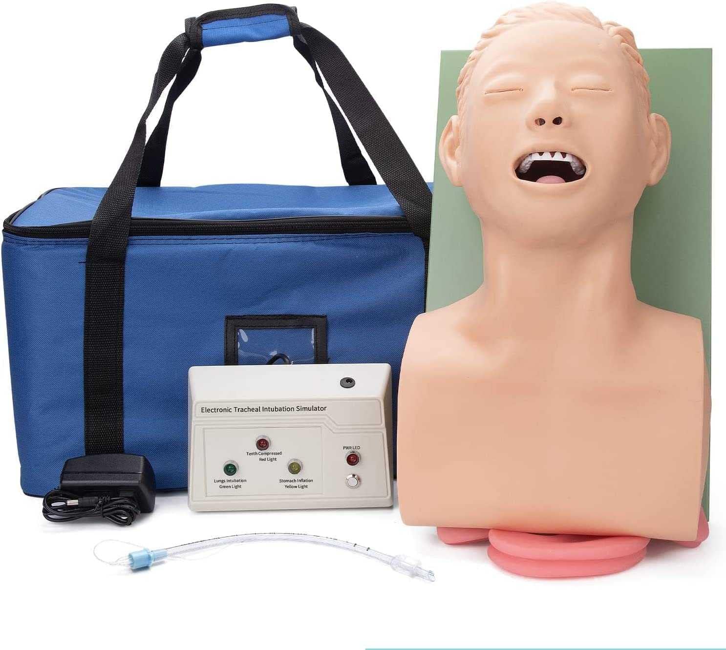 CHROX PVC Electronic Manikin Intubation Study Teaching Model, with ...
