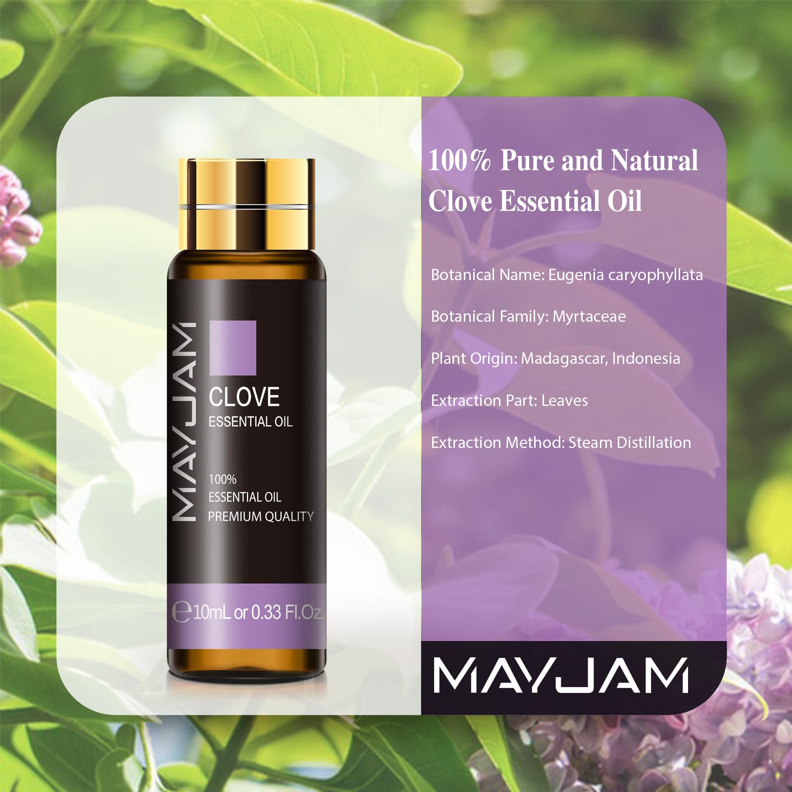 Snapklik.com : Clove Essential Oil, 10ML/0.33FL.OZ Premium Clove Oils ...