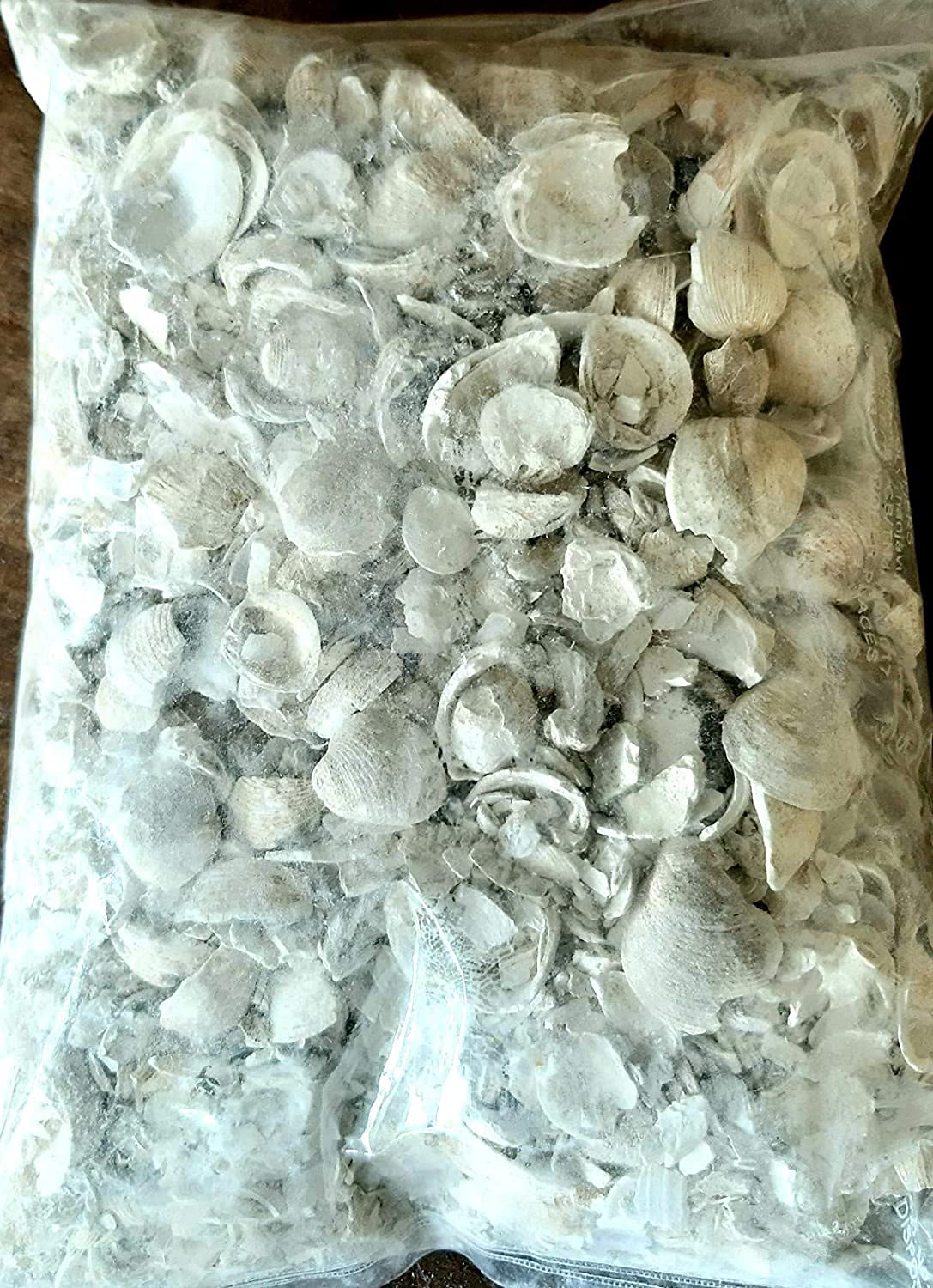 Buy ZM Shell Lime / Kilinjal Sunnambu 2kg Online at Low Prices in India ...