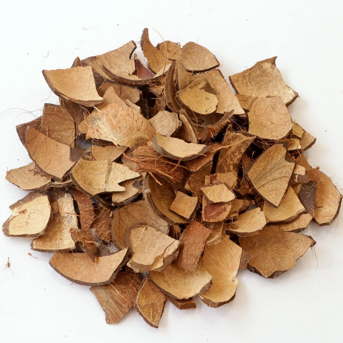 MMG Traders Coconut Shell Pieces for Craft Making, Wooden Craft ...