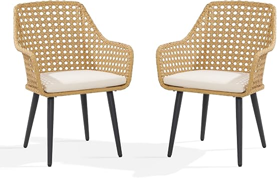 Amazon.com: Verano Garden Patio Modern Dining Chairs Set of 2, Outdoor ...