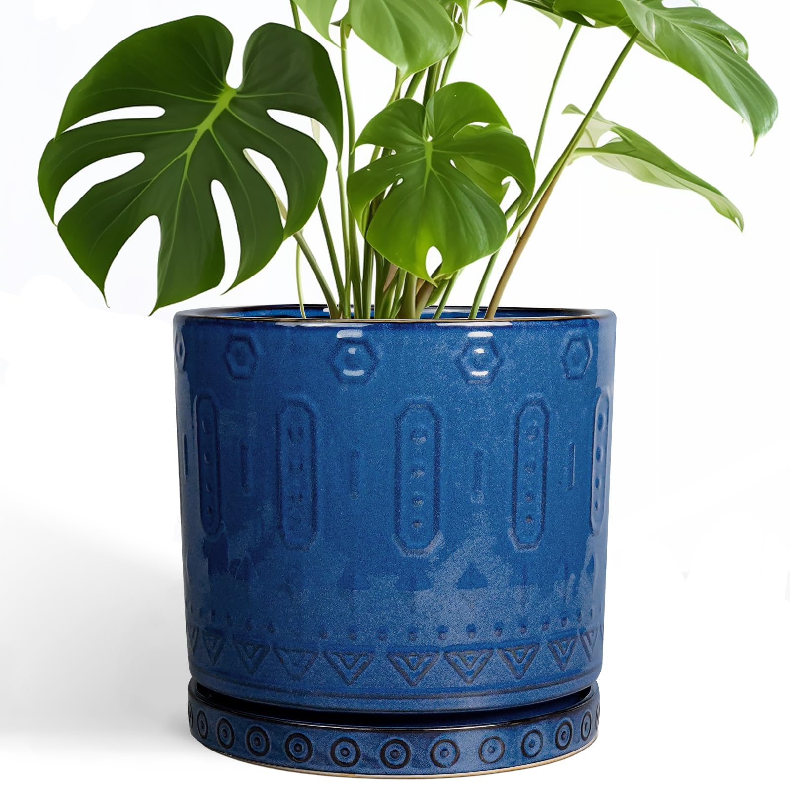 Amazon.com : Eightpot 10 Inch Plant Pot - Ceramic Planter Outdoor Plant ...