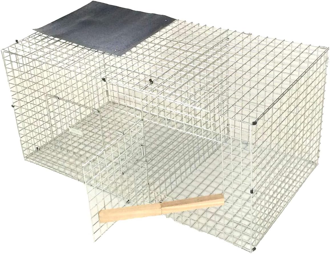 TrapMan Crow Corvid trap, Humane trap, UK Made, 1x Side Catching ...