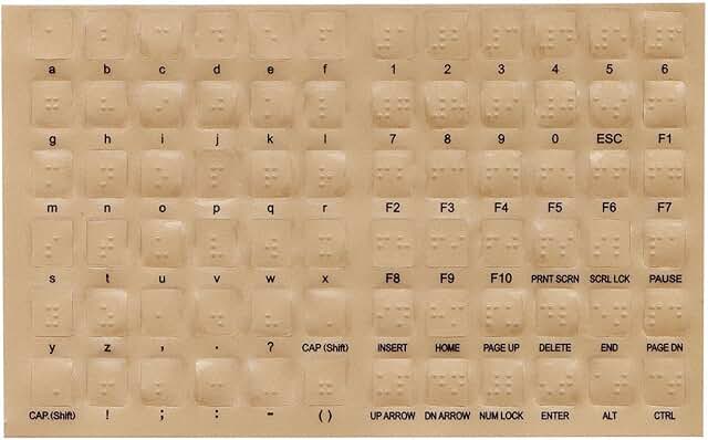 Amazon.com: braille stickers