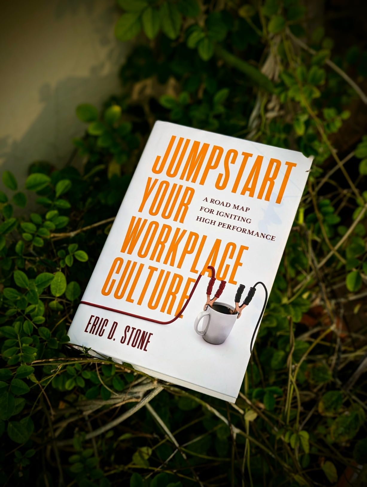 Buy Jumpstart Your Workplace Culture: A Road Map for Igniting High ...