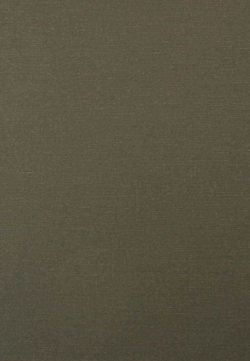 Amazon.com: American Artists in Paris, 1919-1929 (STUDIES IN THE FINE ...