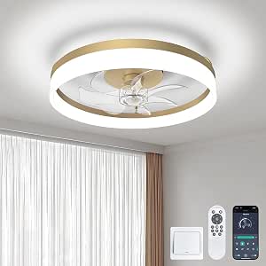 Amazon.com: Mcestna Flush Mount Golden Ceiling Fans with Lights Low ...