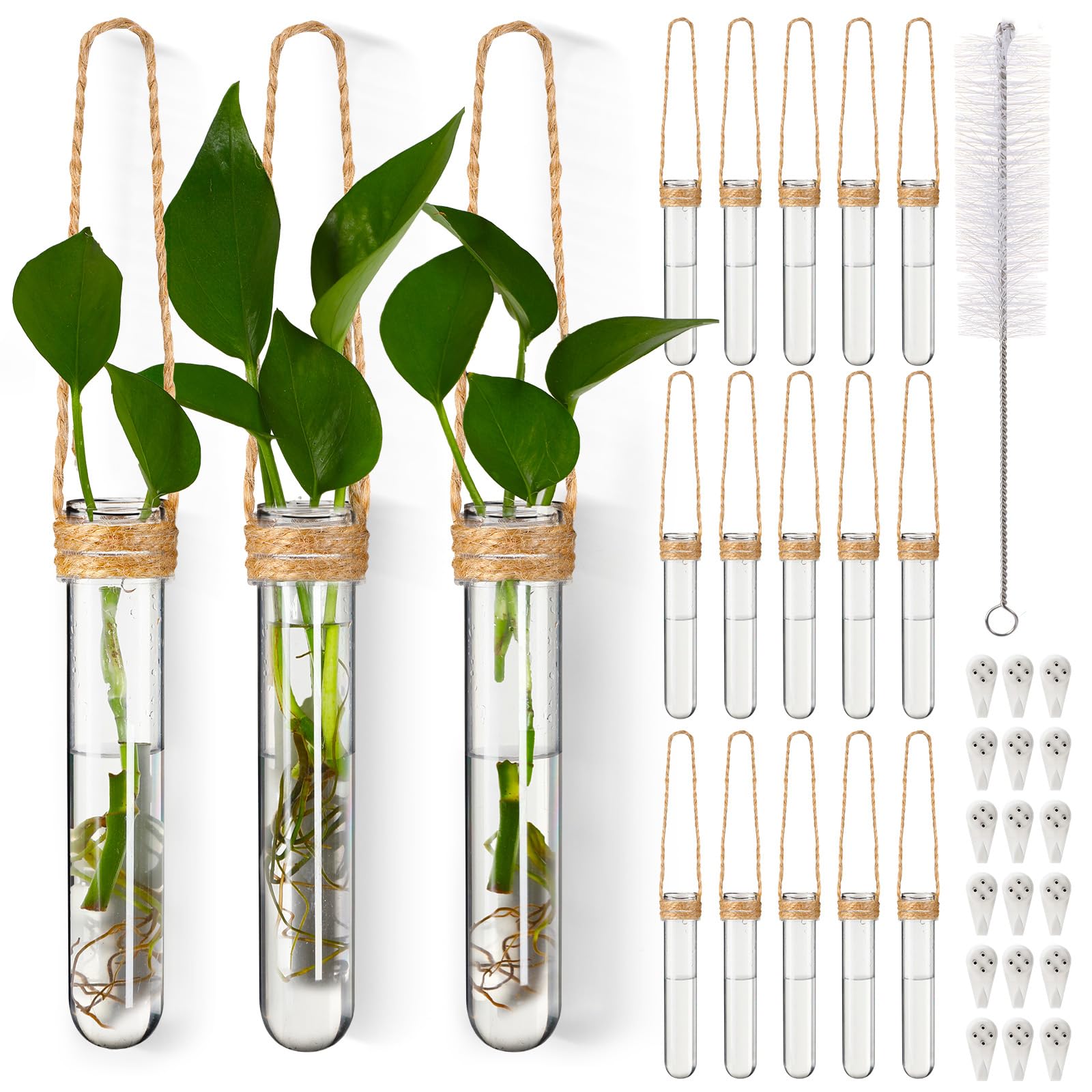 Snapklik.com : Baderke Plastic Hanging Propagation Tubes Propagation ...