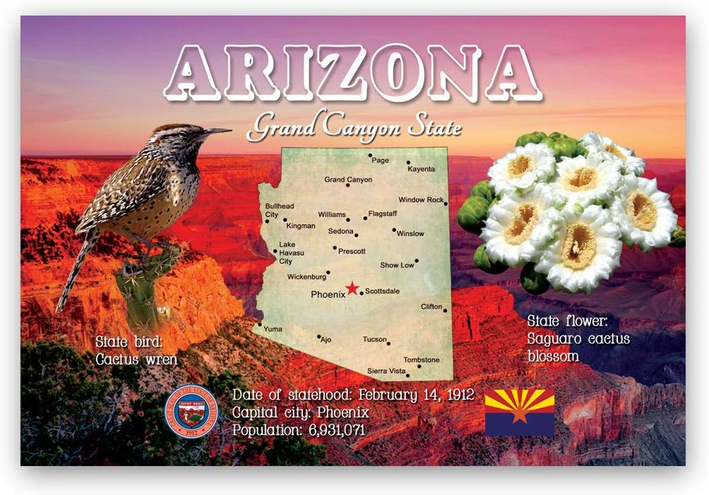 Amazon.com : ARIZONA MAP postcard set of 20 identical postcards. AZ ...