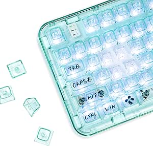 Amazon.com: CoolKiller Clear Keycap Set, 142 Full Keys for Mechanical ...