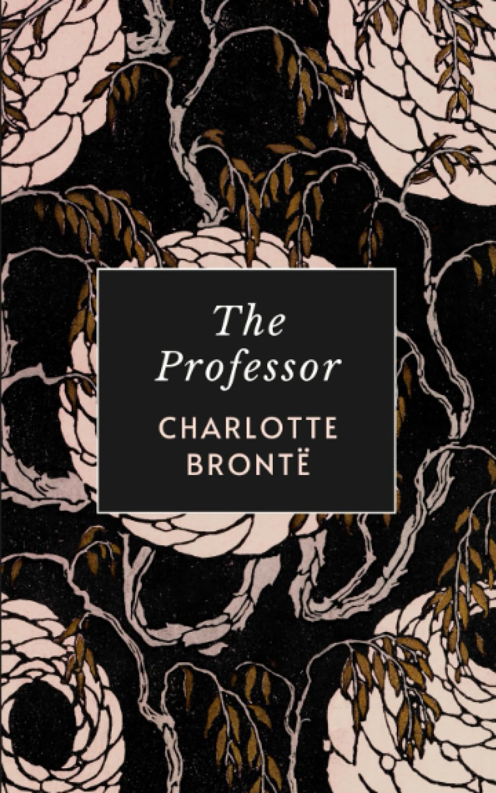 Amazon.com: The Professor: The Original 1857 Charlotte Brontë Gothic ...