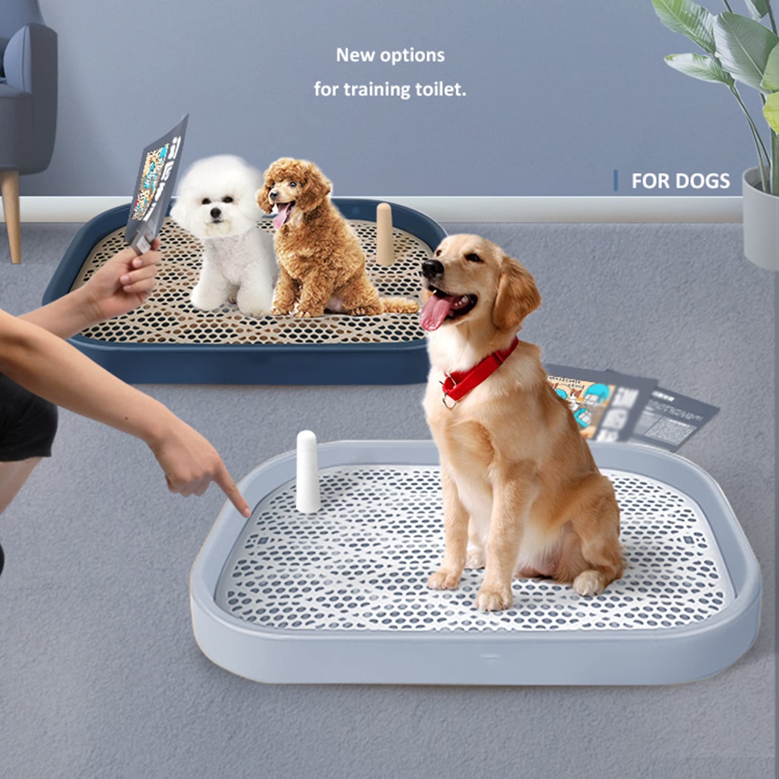 Dogs That Use The Toilet