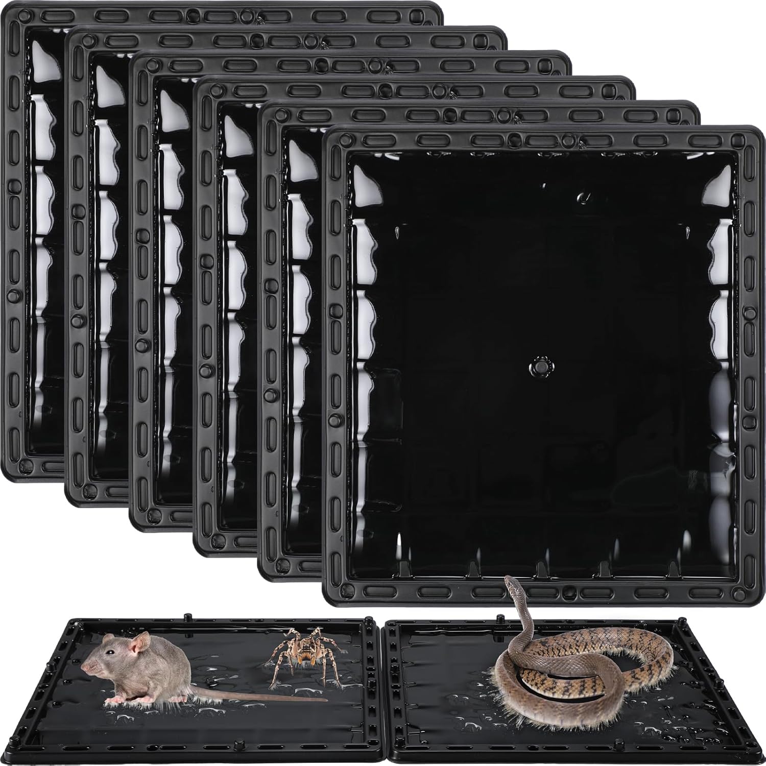Amazon.com : Qualirey 6 Pcs Jumbo Rat Mouse Glue Traps 10" x 10.8 ...