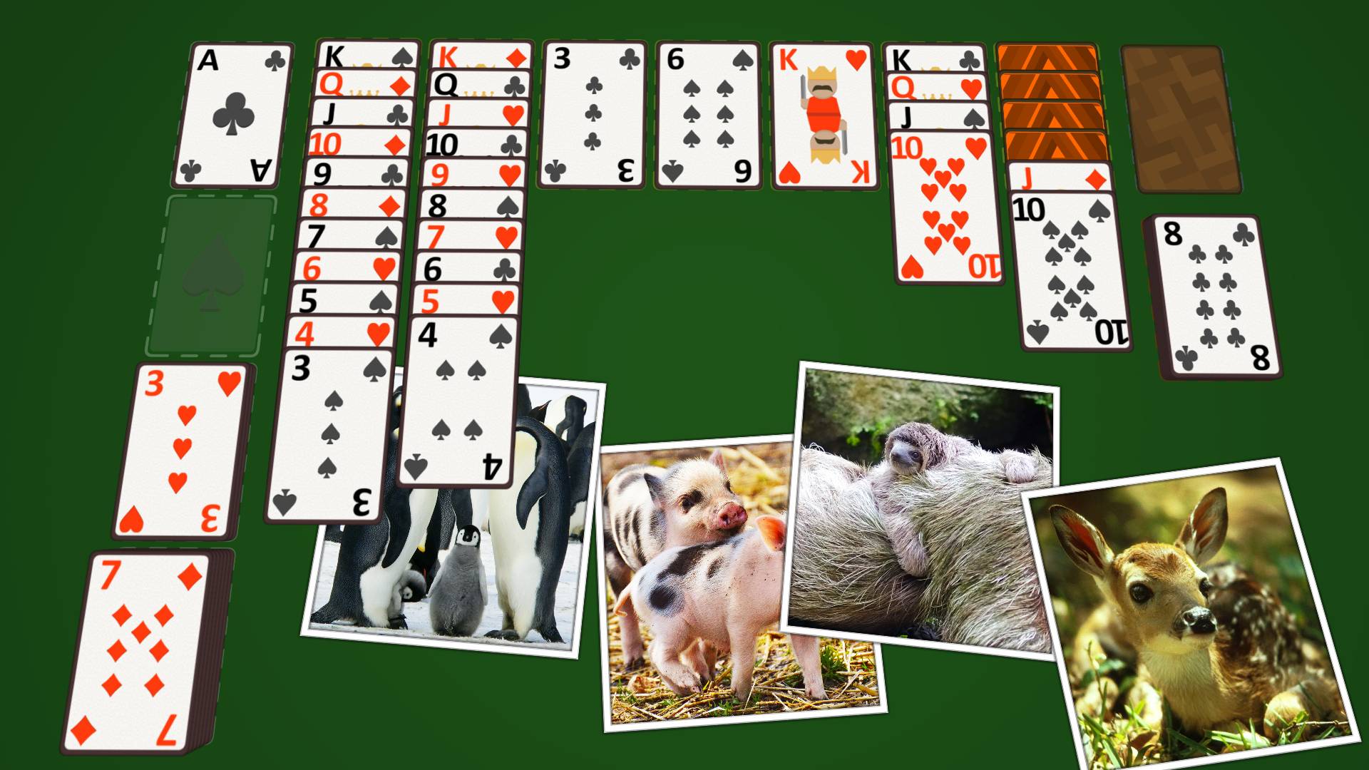 Solitaire Baby Animals TV-Amazonアプリストアのアプリ