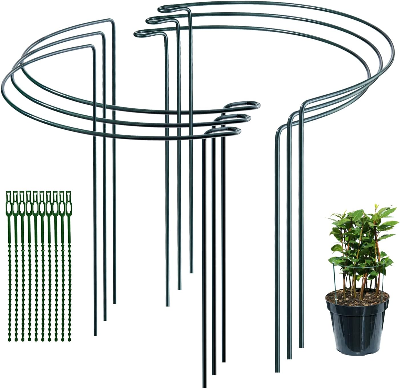 JIALWEN 6 Pack 20×35cm Plant Support Stakes Ring Cages, Metal Garden ...