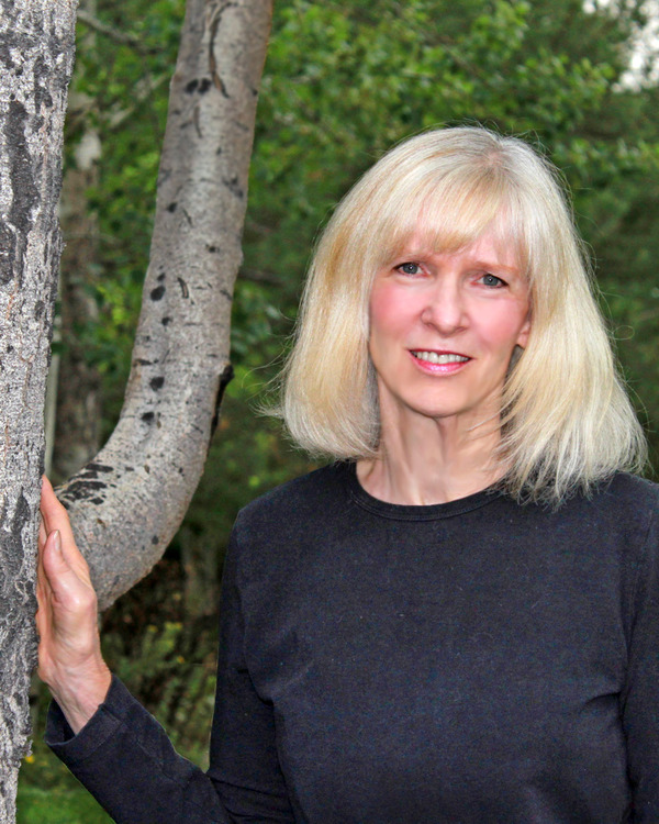 Amazon.com: Susan L Metzger: books, biography, latest update