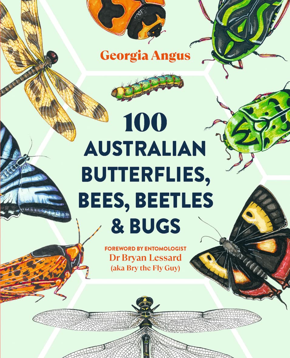 Amazon.co.jp: 100 Australian Butterflies, Bees, Beetles & Bugs (English ...
