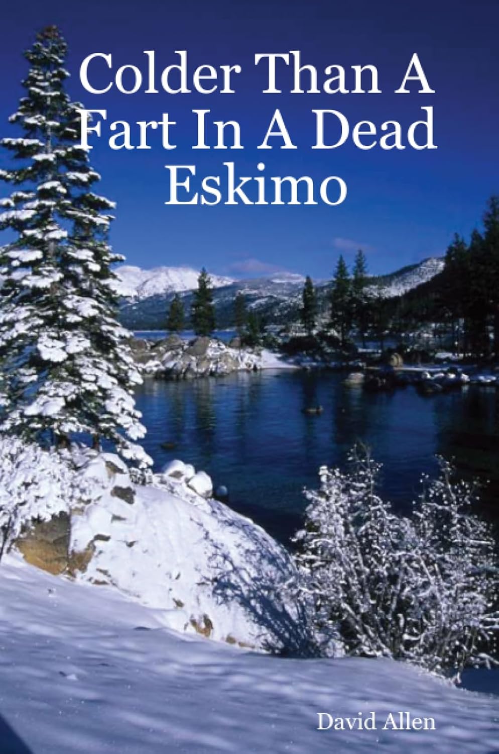Colder Than A Fart In A Dead Eskimo: Allen, David: 9781430311447 ...