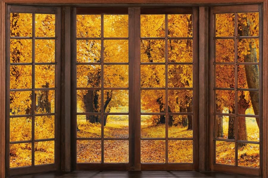 Amazon.com : Fall Forest Backdrop 7 x 5 ft Autumn Window Scenery Fall ...