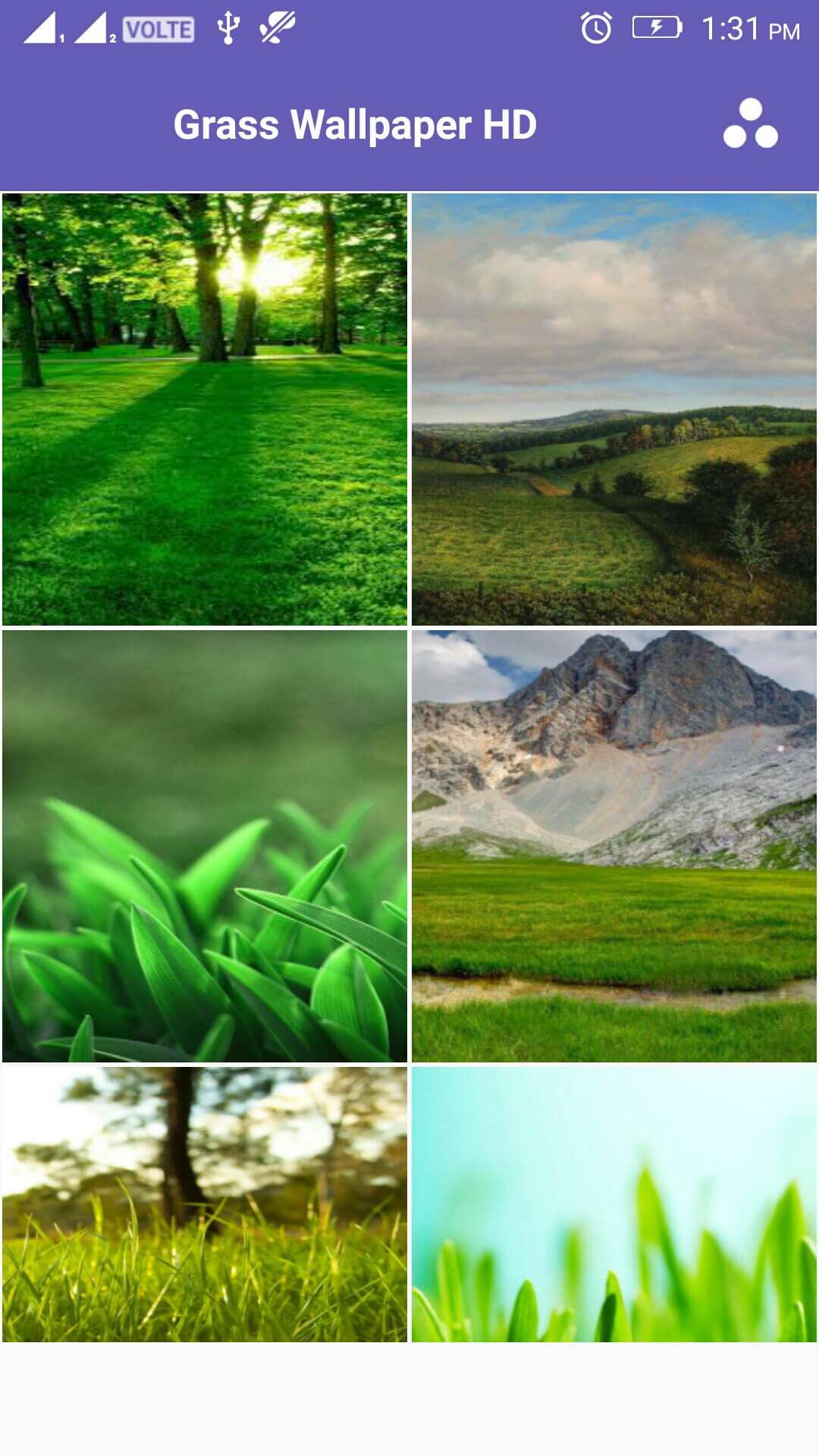 Grass 4K Wallpaper - App on Amazon Appstore
