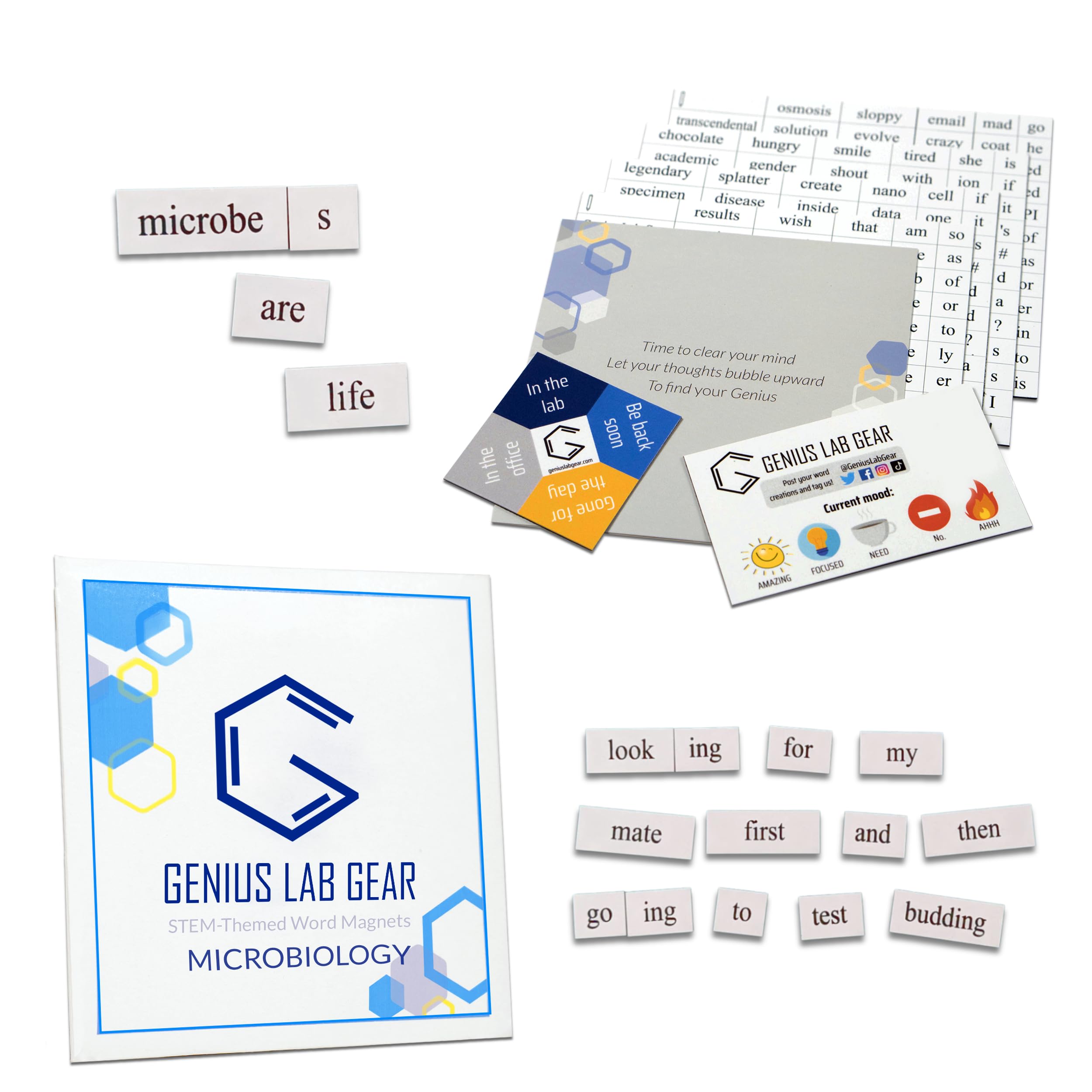 Amazon.com: Microbiology Word Magnets - Funny and Nerdy Word Kit for ...