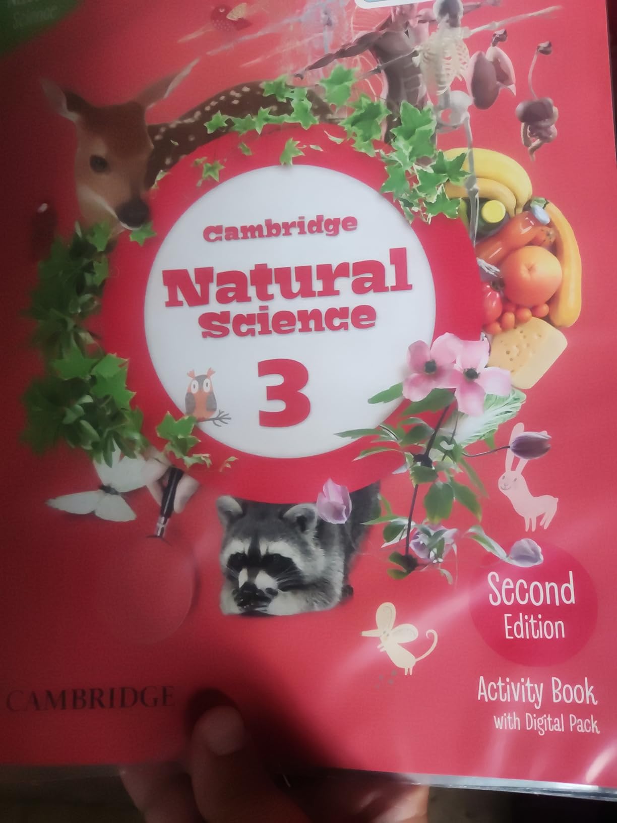Cambridge Natural Science Second edition Level 3 Activity Book with ...