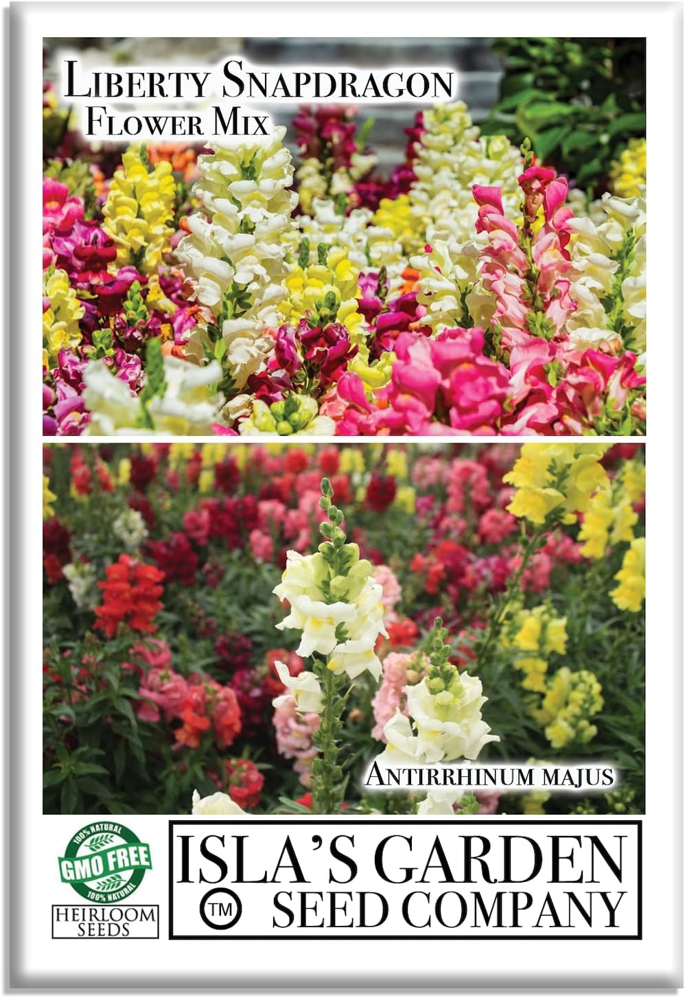 Amazon.com : Liberty Mix Snapdragon Seeds – 2000+ Heirloom Non-GMO ...