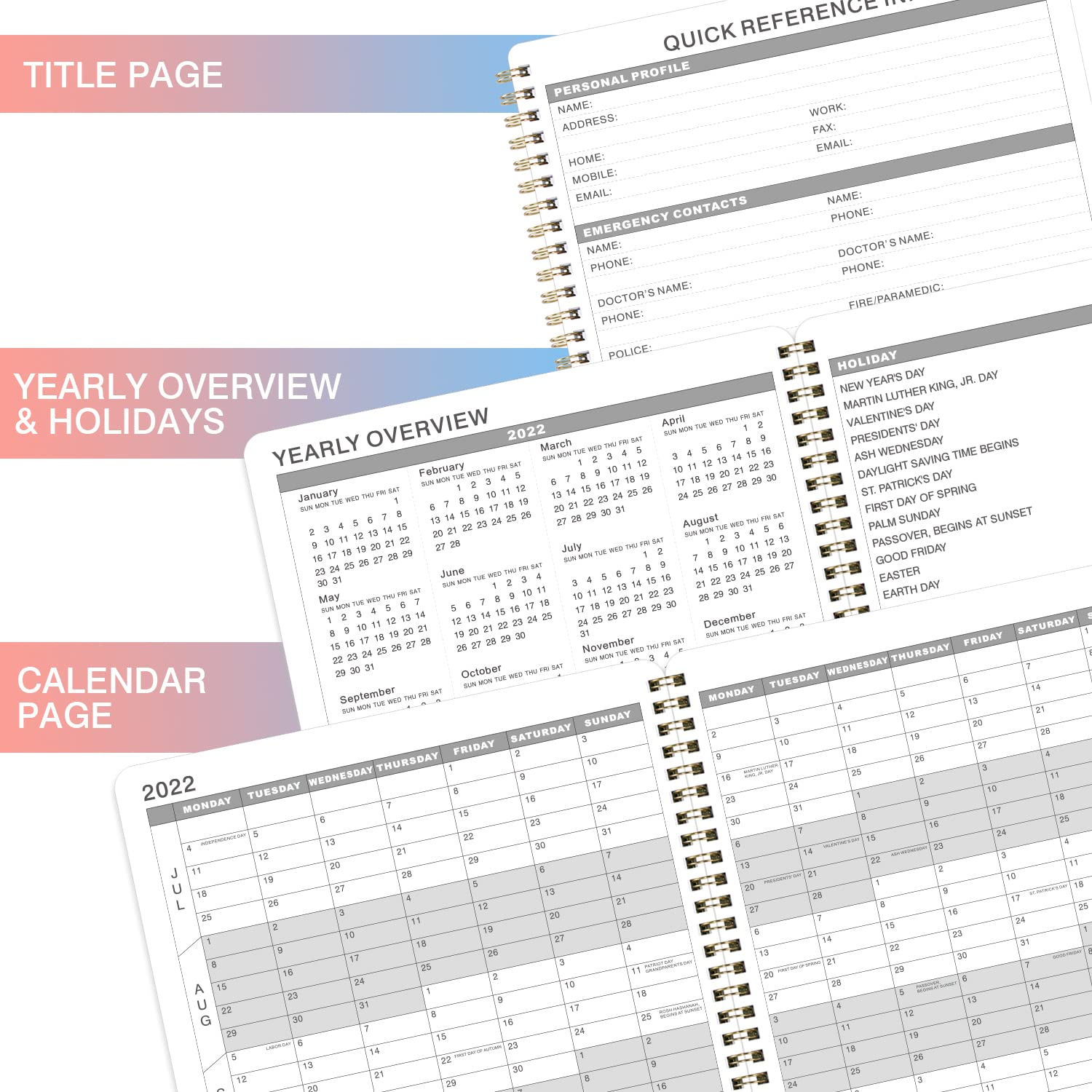 Buy 2022-2023 Appointment Book - Daily Planner 2022-2023, 8'' x 10 ...
