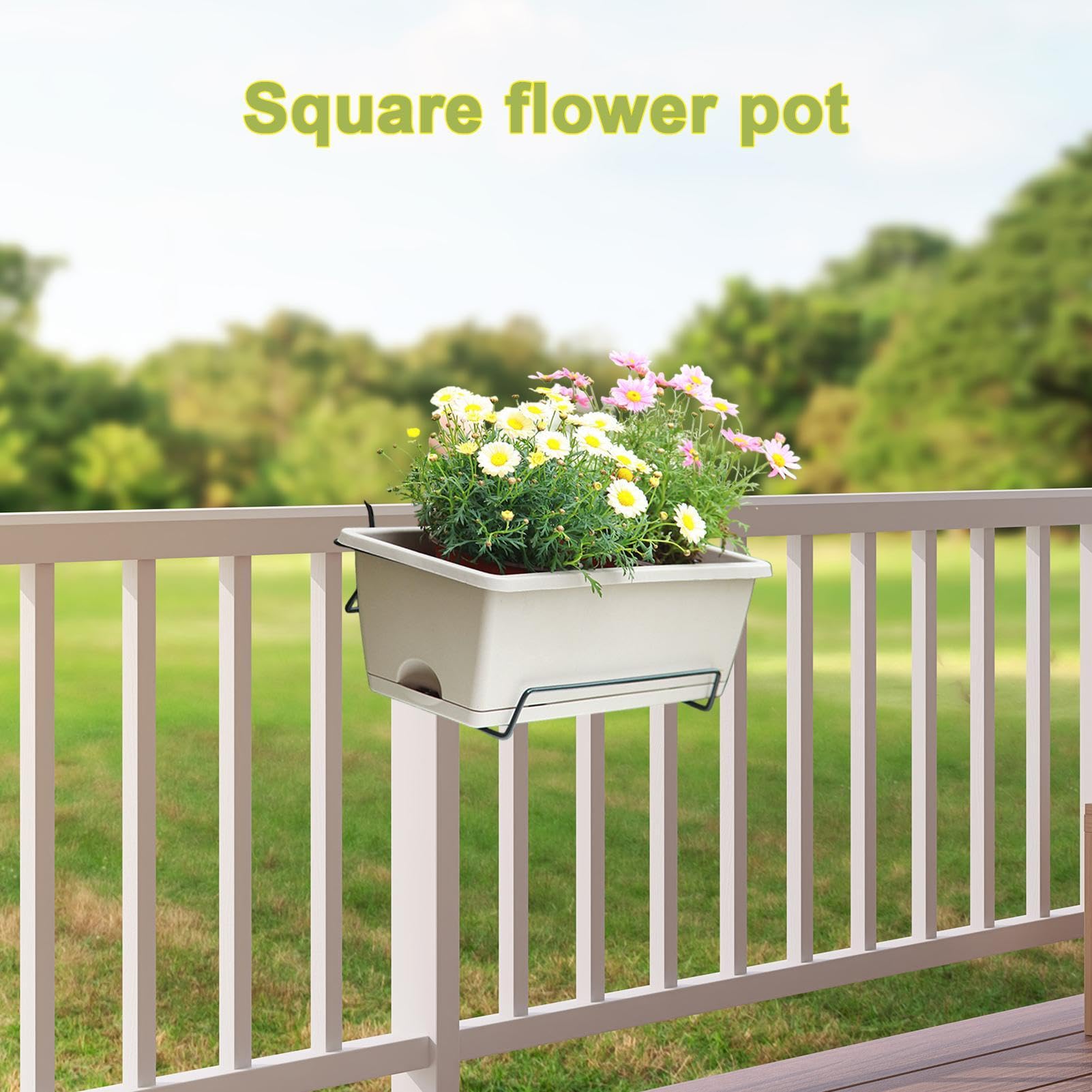 Rectangular Planters By Windows