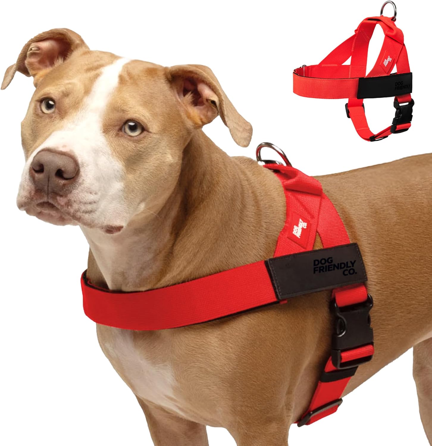 Amazon.com : DF Co. Dog Harness | Chafe Resistant Webbing, Adjustable ...