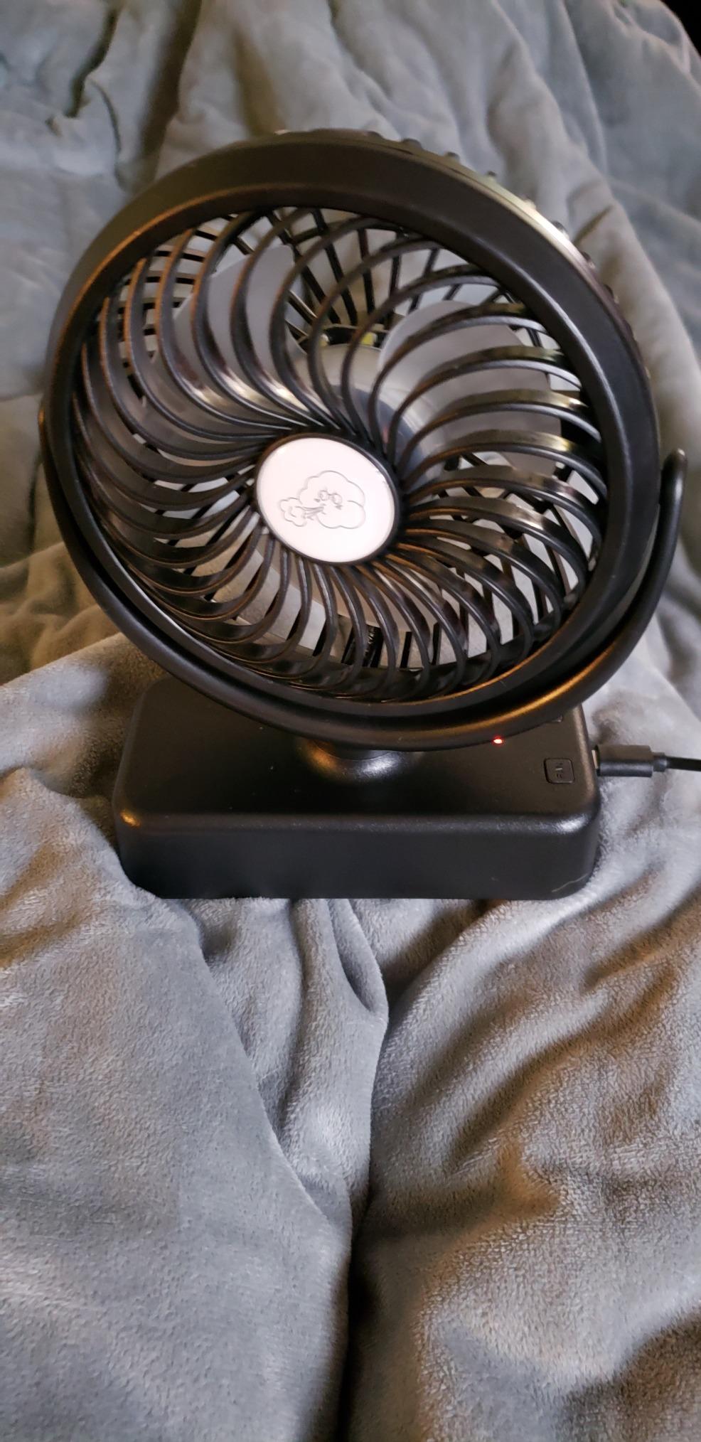 Amazon.com: Small Desk Fan, USB Powered Table Fan With Strong Wind ...