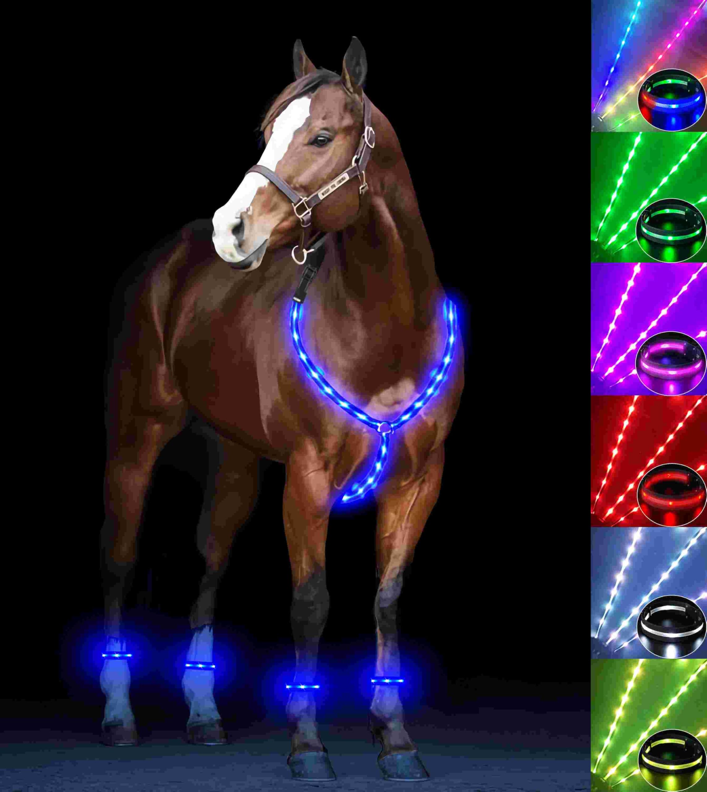 5pcs LED Horse Breastplate Collar & LED Horse Leg Band, 7 Colors in 1 ...