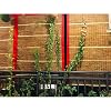 Ab Unique Pure Khus/Khas Root Curtains
