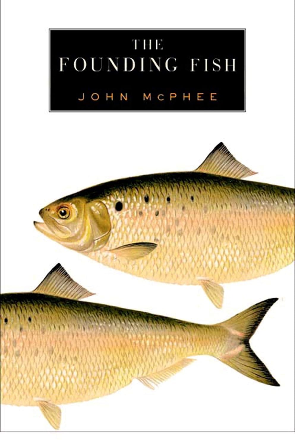 Amazon | The Founding Fish | McPhee, John | Fishing