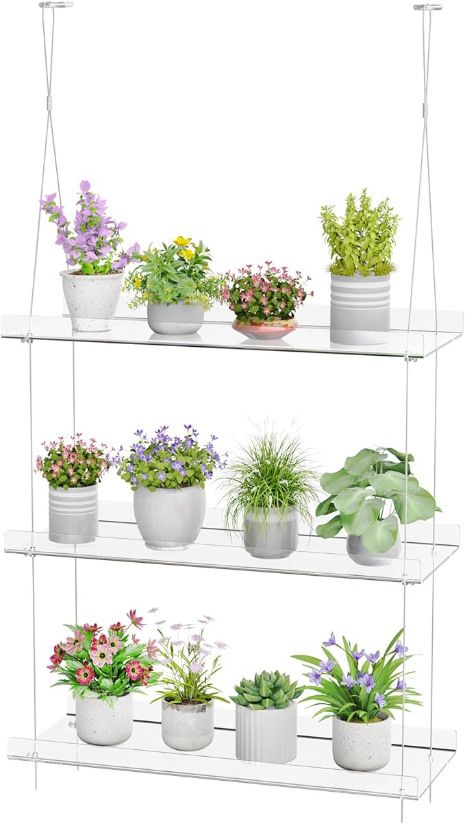 Amazon.com : ZASIMO Window Plant Shelves, Hanging Plant Shelves Indoor ...
