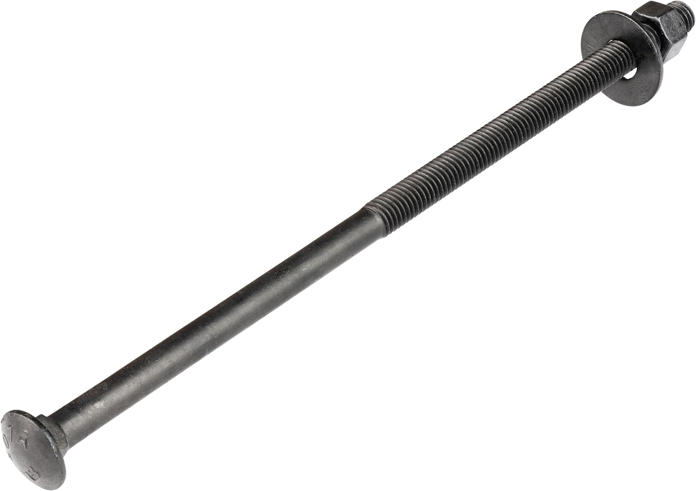 Amazon.com: Hillman 1/2X12 Carriage Bolt : Industrial & Scientific